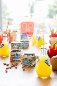 Origami Picnic Boxes DIY